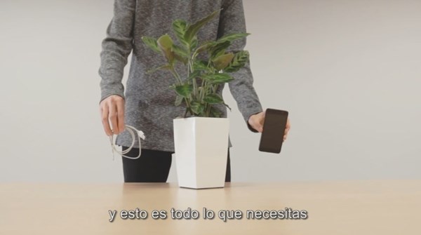 Bioo Lite เทคโนโลยีชาร์จแบตเตอรี่สมาร์ทโฟนจากต้นไม้