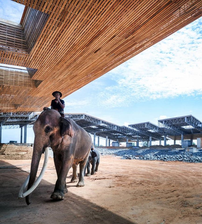 จ.สุรินทร์ สร้าง Elephant World อาณาจักรช้าง ยิ่งใหญ่ระดับโลก