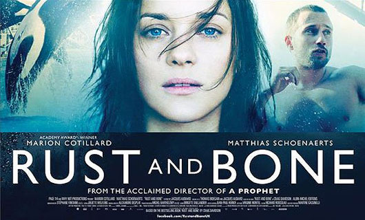 Rust and Bone ของ ฌากส์ โอเดียร์ คว้ารางวัลหนังยอดเยี่ยม